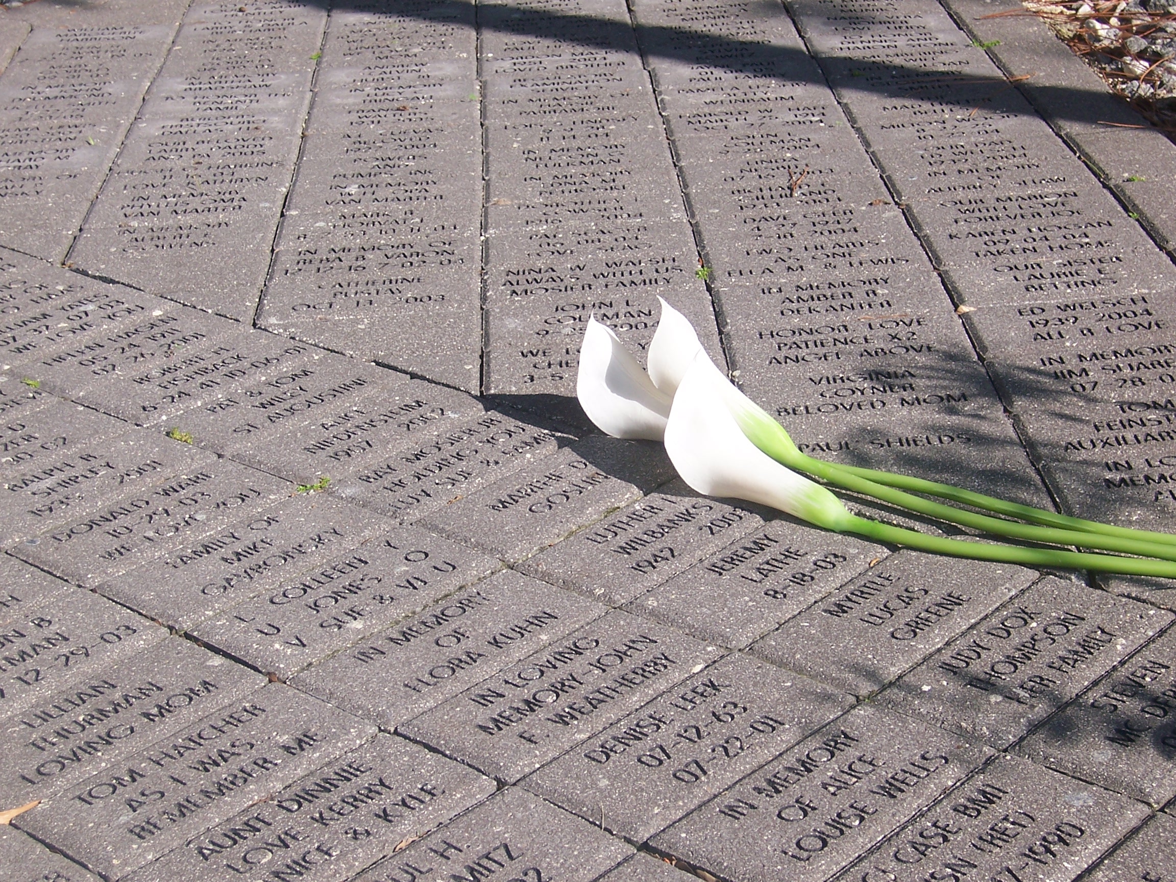 Lasting Memorials – Community Hospice Foundation